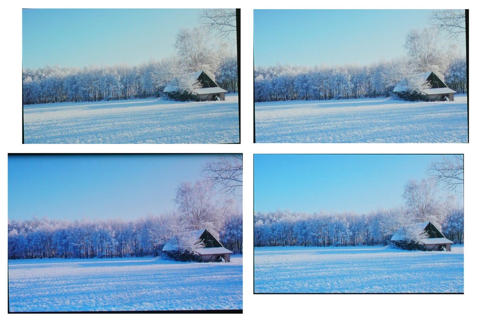 Apple iPhone 15 Display test - DXOMARK