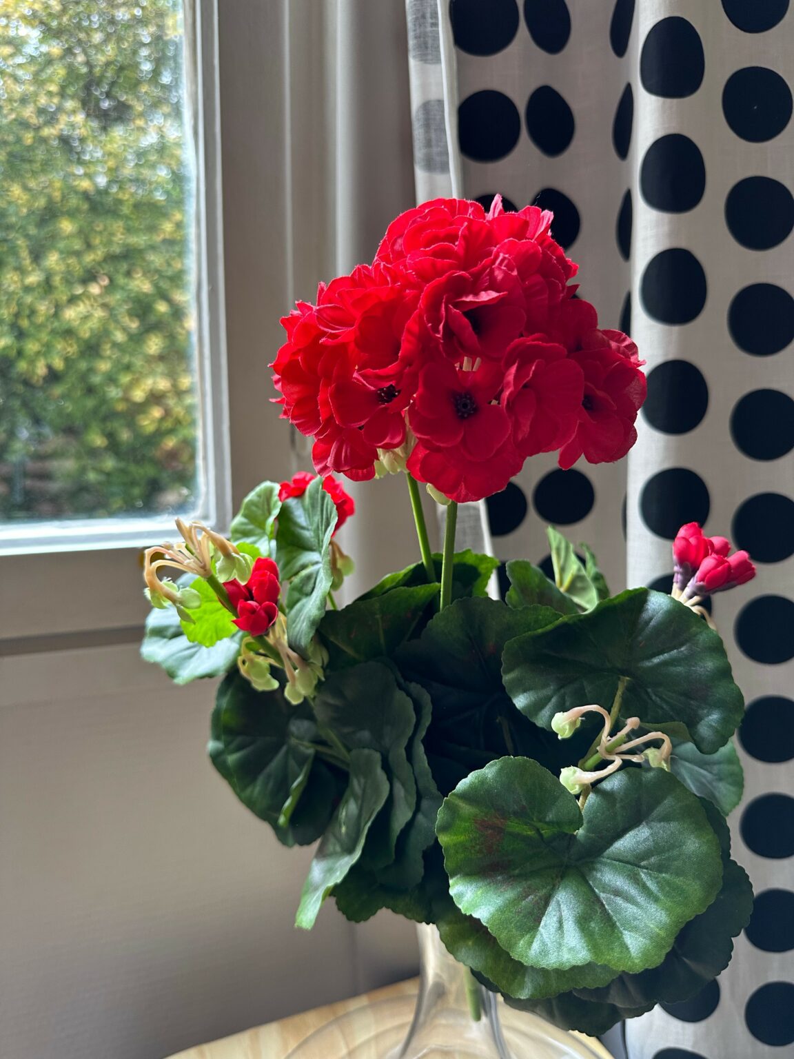 Apple iPhone 14 Pro Max Camera test - DXOMARK