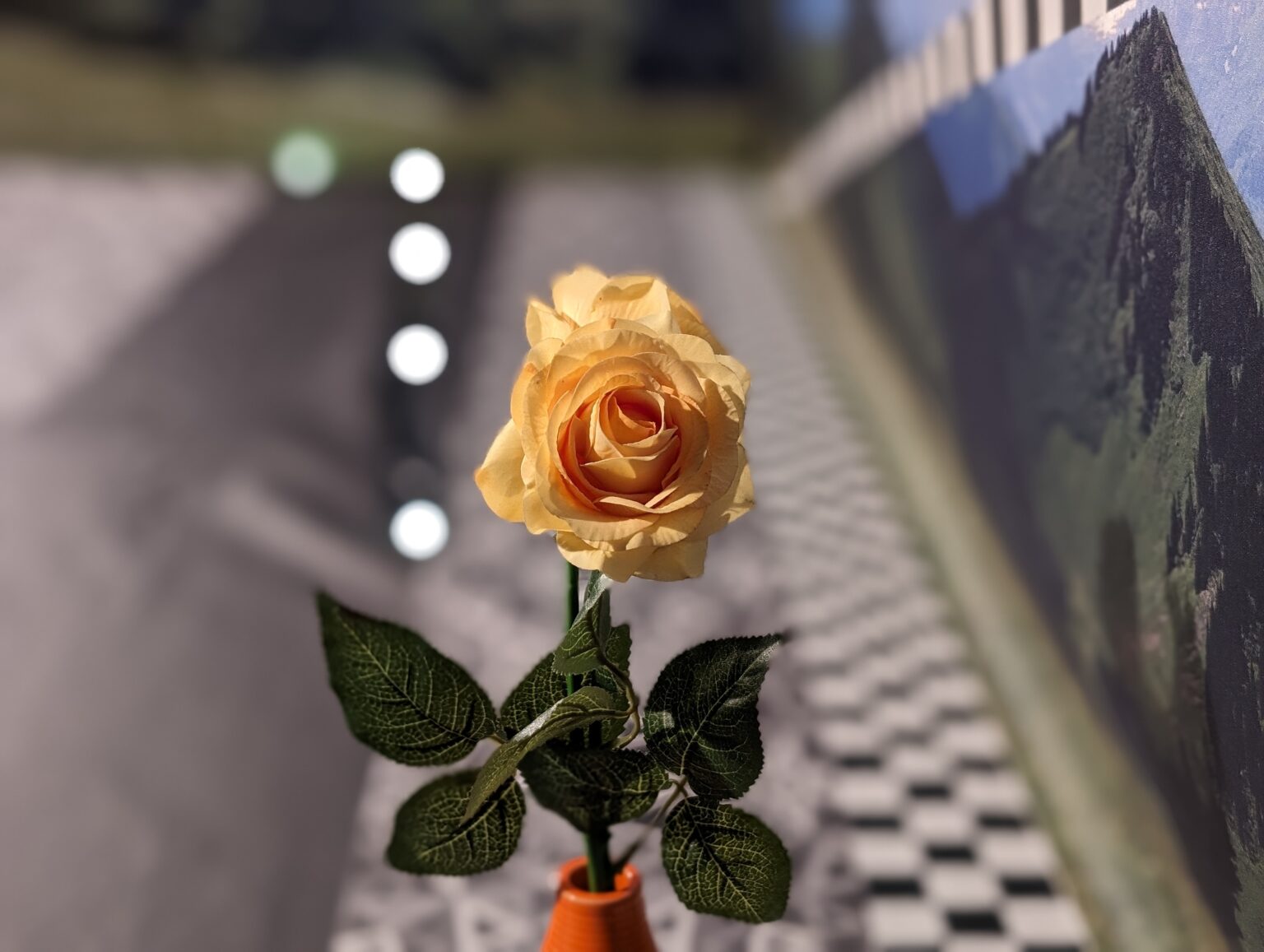 Google Pixel 8 Camera test - DXOMARK