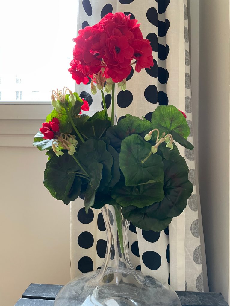 Apple iPhone 12 Pro Camera review: Great smartphone video - DXOMARK