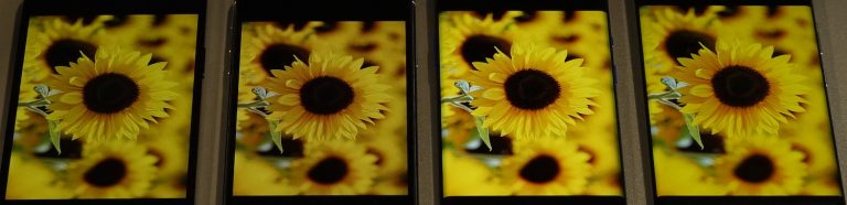 Apple iPhone 12 Pro Max Display review: Bigger and still near the top ...