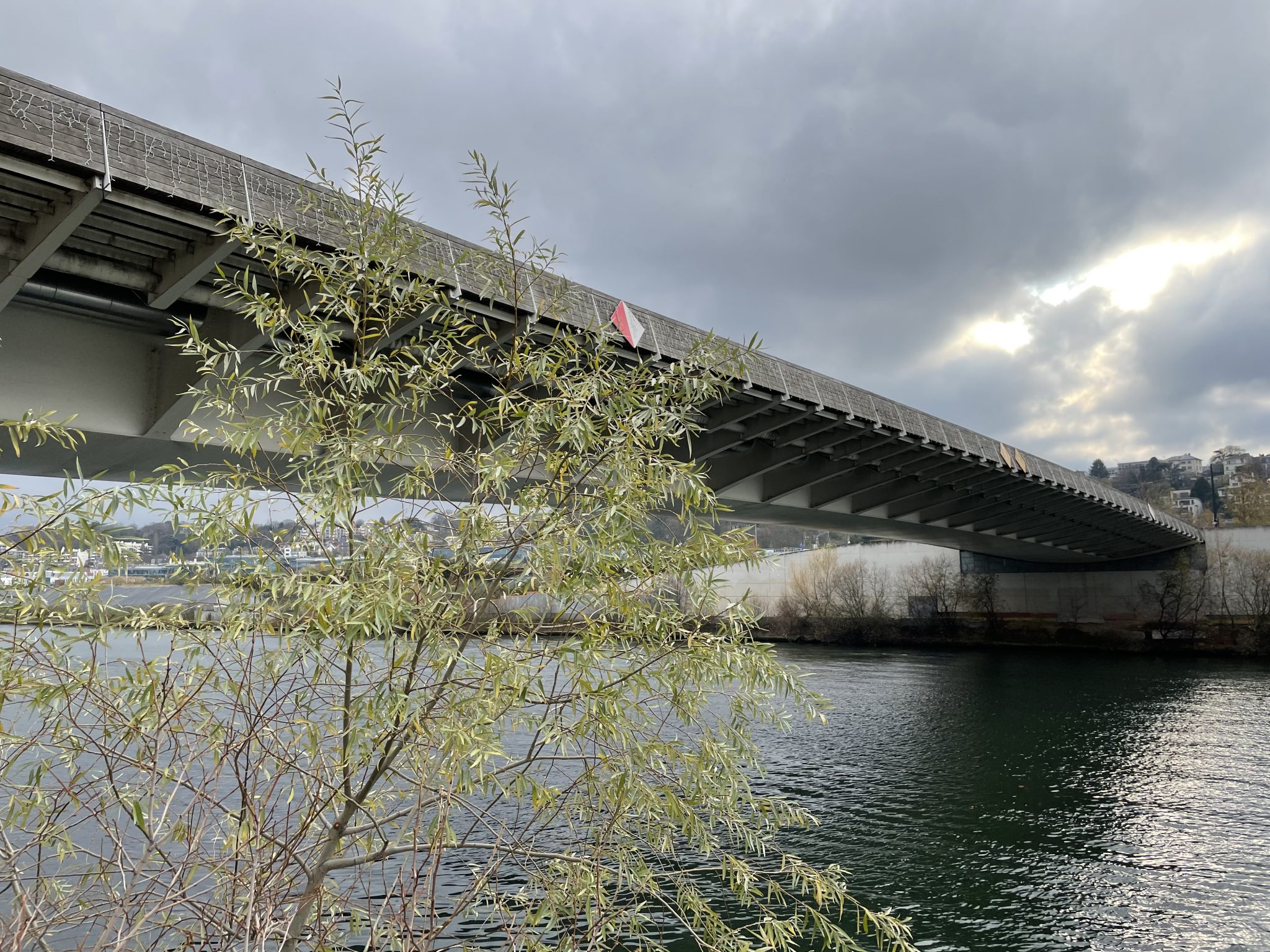 Apple iPhone 12 mini Camera review: Performance in your pocket - DXOMARK