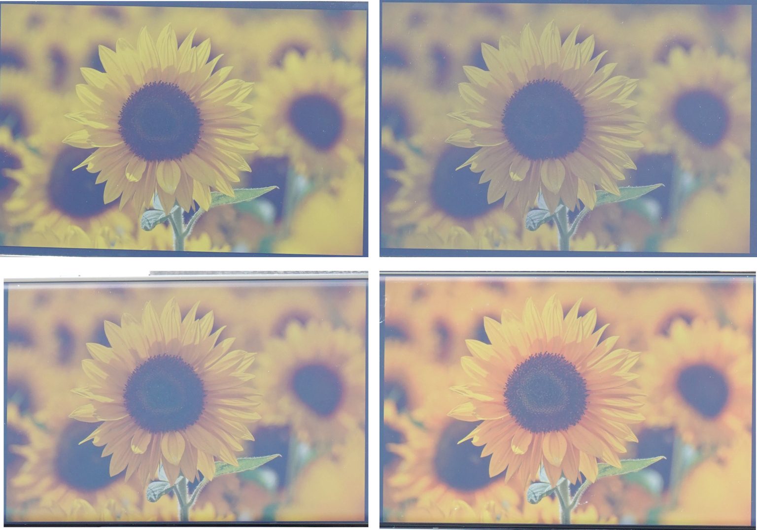 Apple iPhone 13 Pro Max Display test - DXOMARK