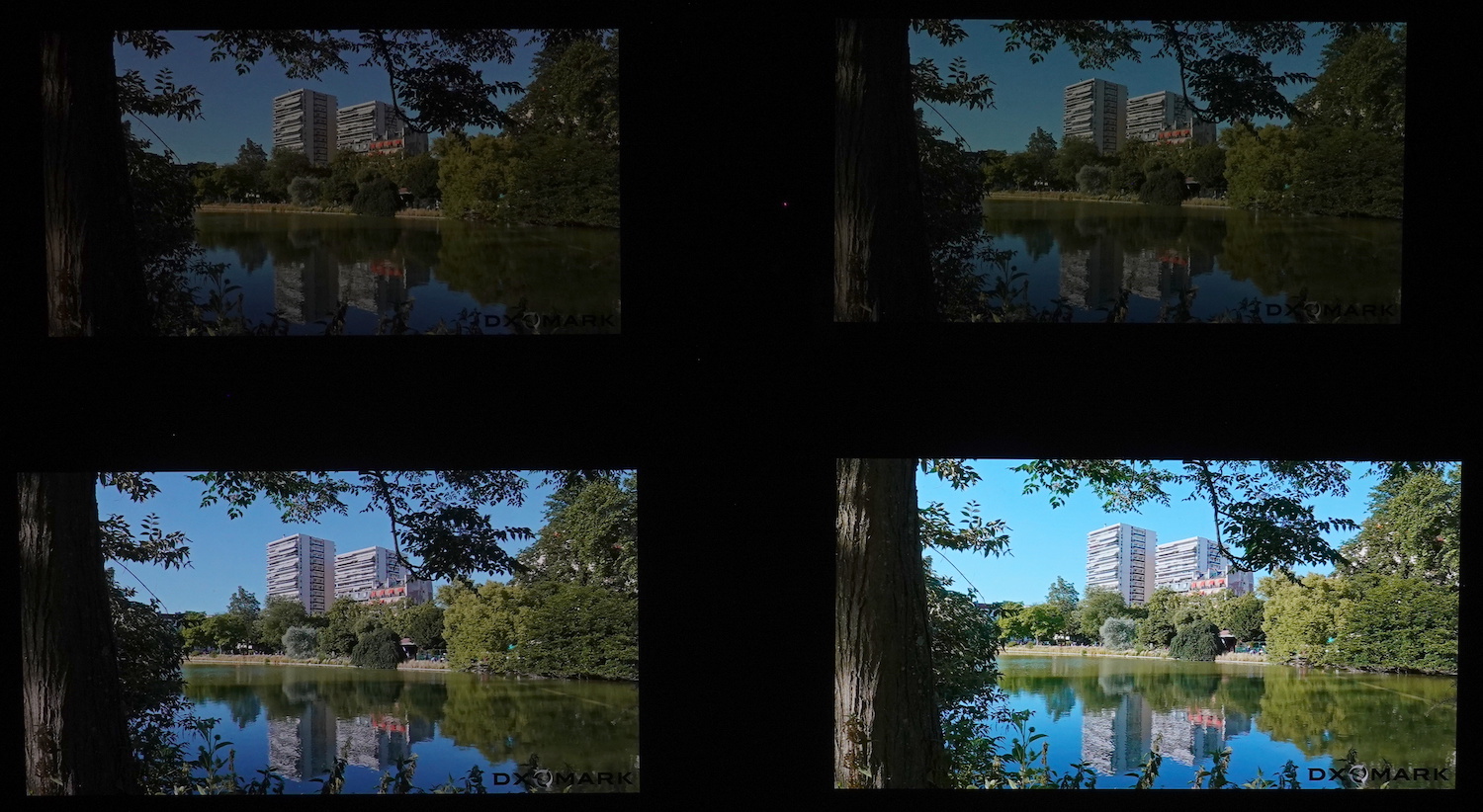 Apple iPhone 13 Display review: Some big strides forward - DXOMARK